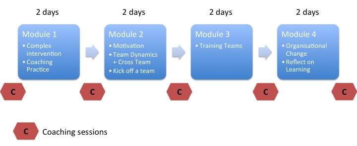 Teams Coach Programme | agilecoachingacademy.org